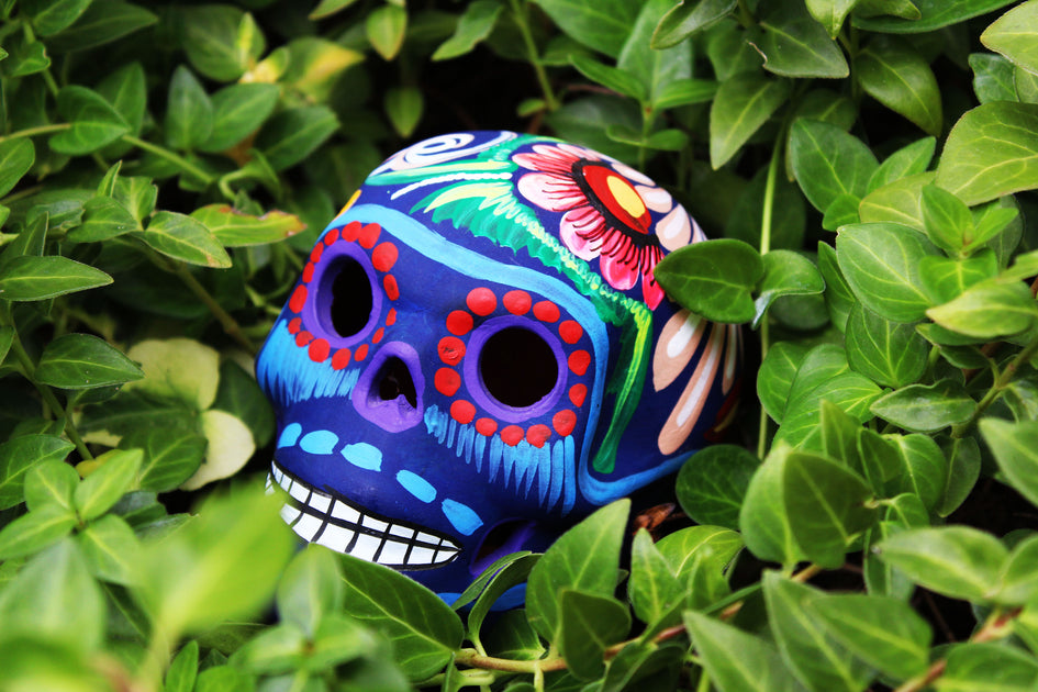 Calaca o Calavera – Casa Milagros